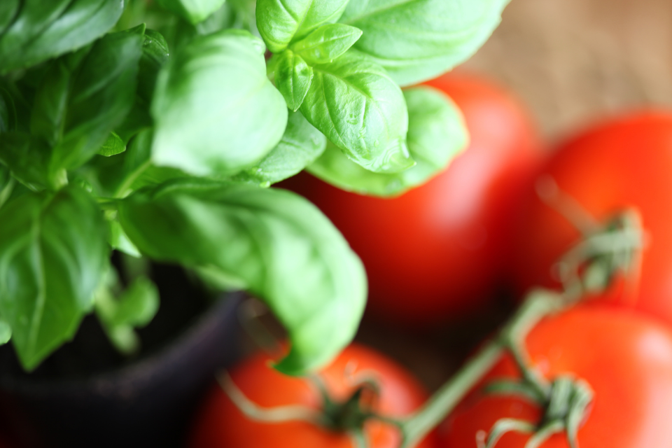 Guide to Companion Planting in Containers - Tusco Products