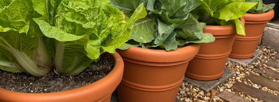 Tusco Products | Garden Planters